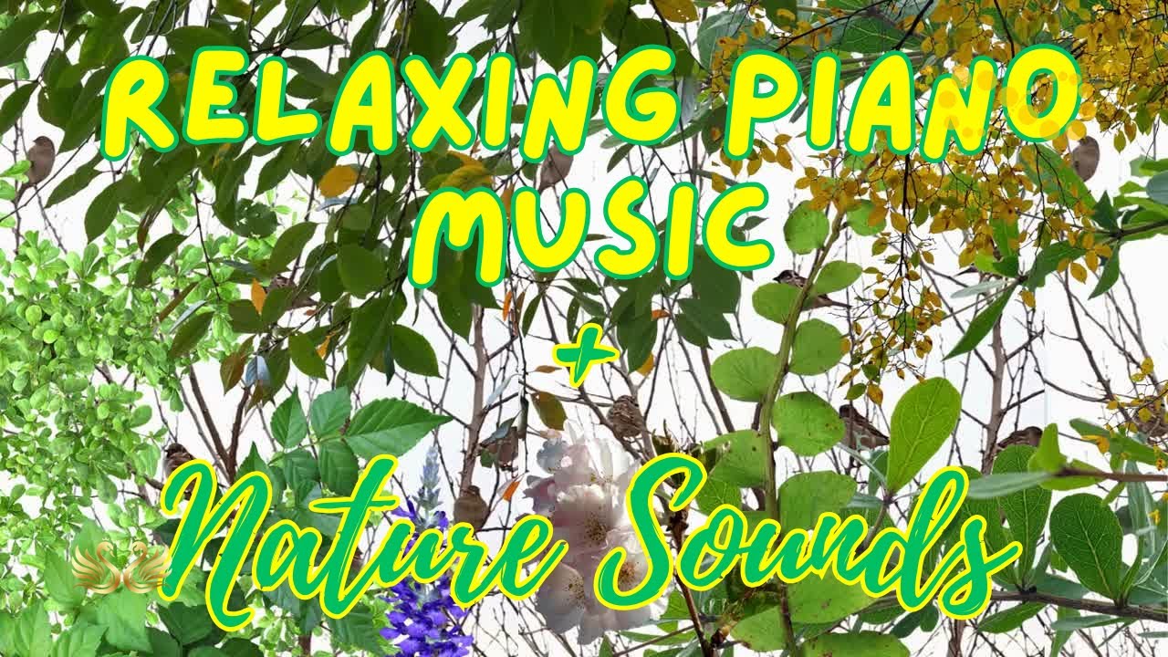 Relaxing Piano Music 24X7 | Nature Sounds | Soothing Soul Music ...