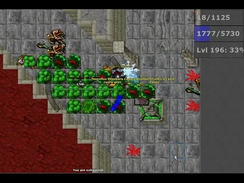 [TIBIA] ED 196 - The Many & The Noxious Spawn (Almost Died/ Quase Morri kkk) - YouTube