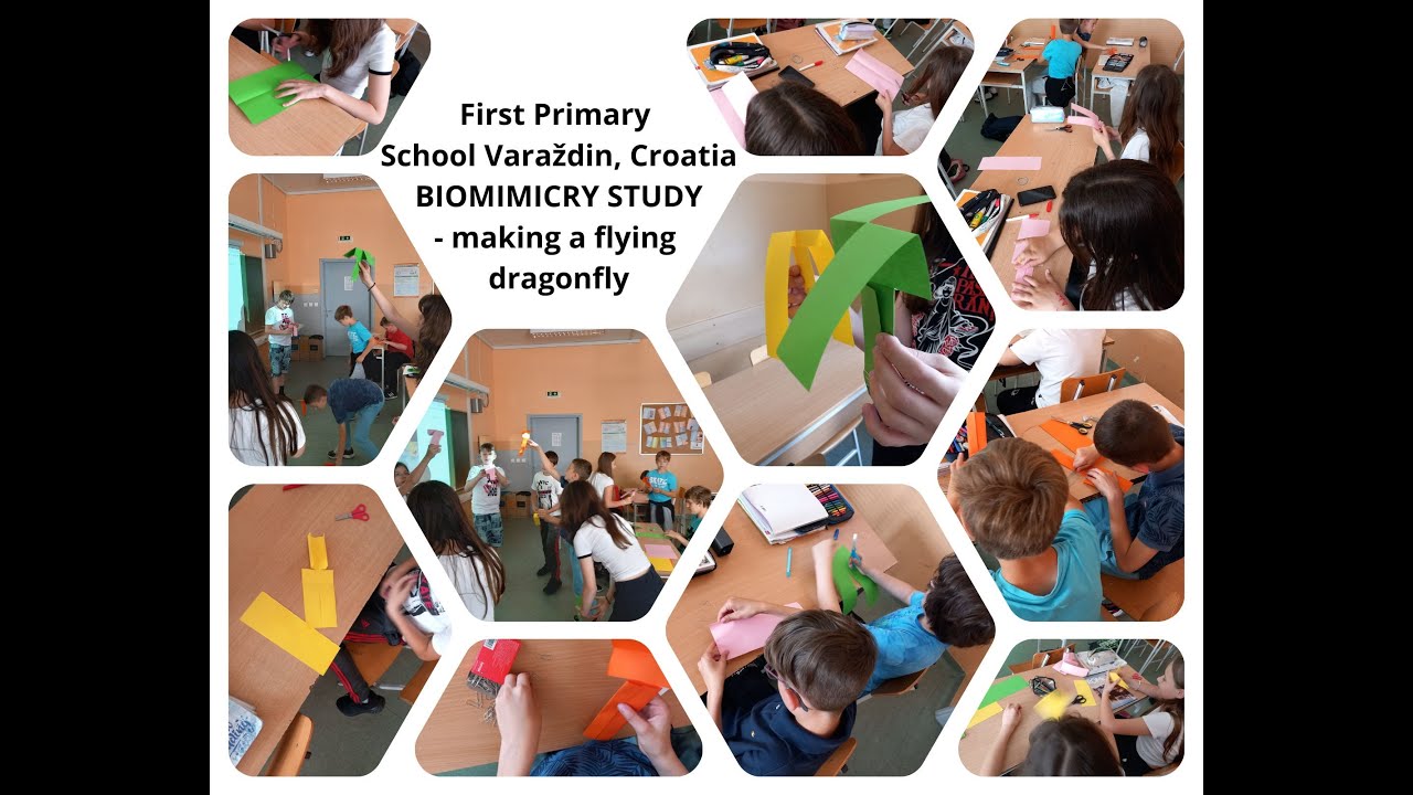 Biomimicry study - imitating dragonfly: making paper propeller - YouTube