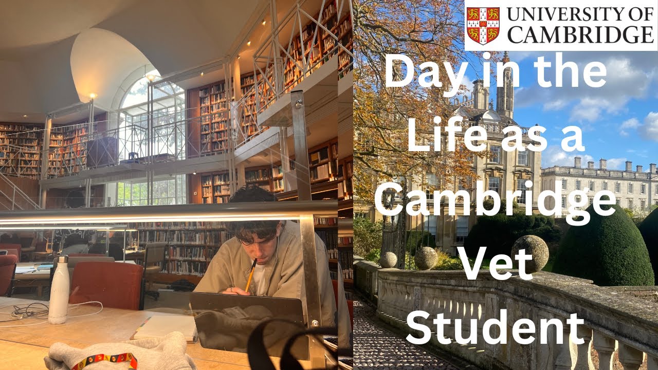 Day in the Life as a Cambridge Fresher! - YouTube