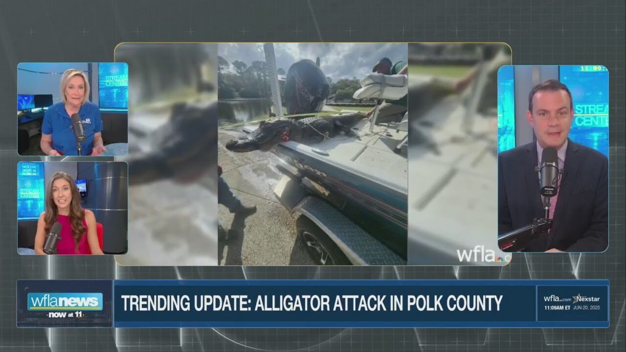 Alligator Rips Paddle in Half, Drags Woman Into Water — Terrifying ...