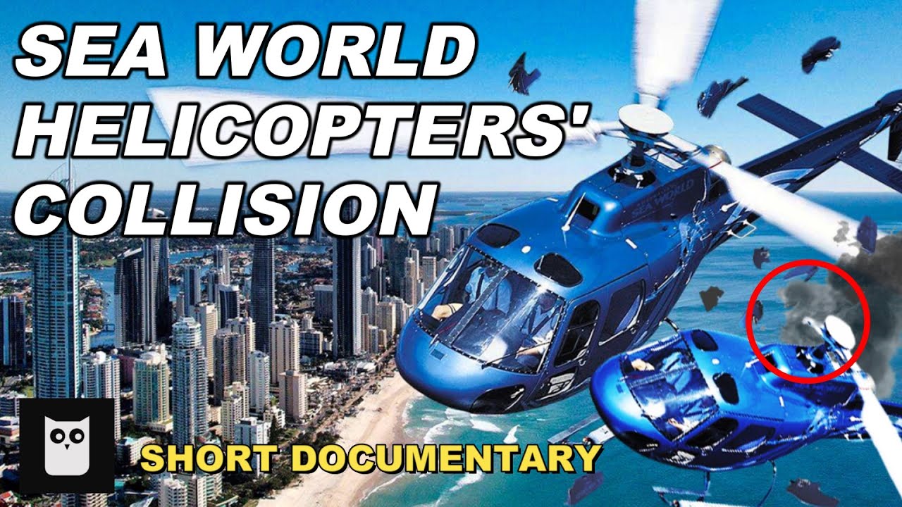 Sea World Helicopters' Collision 2023 Gold Coast | Short Documentary ...