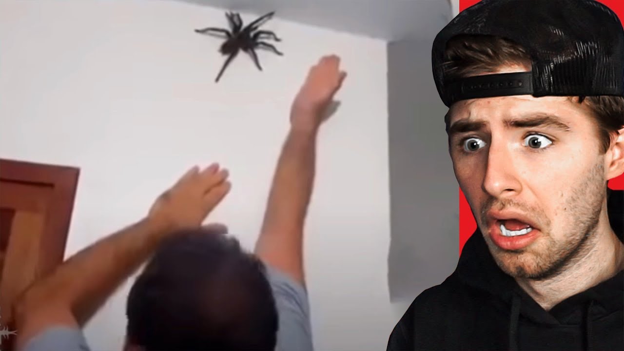 Try NOT to LOOK AWAY *Challenge* (99.9% FAIL) - YouTube