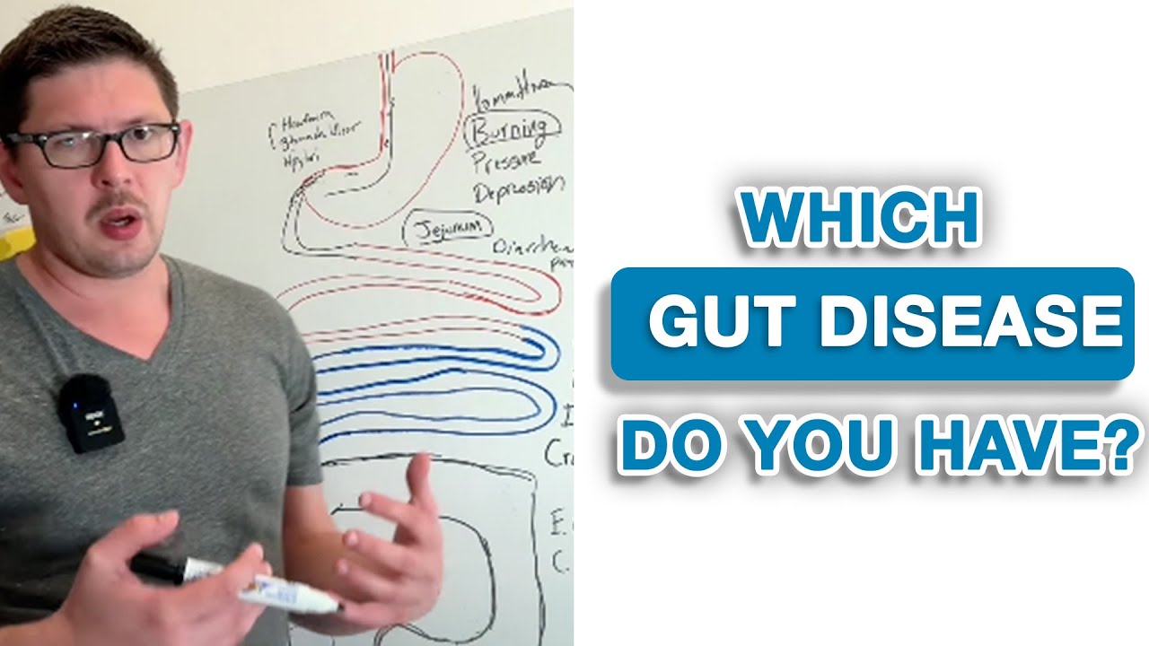 Every Gut Disease & Their Symptoms Explained Simply - YouTube