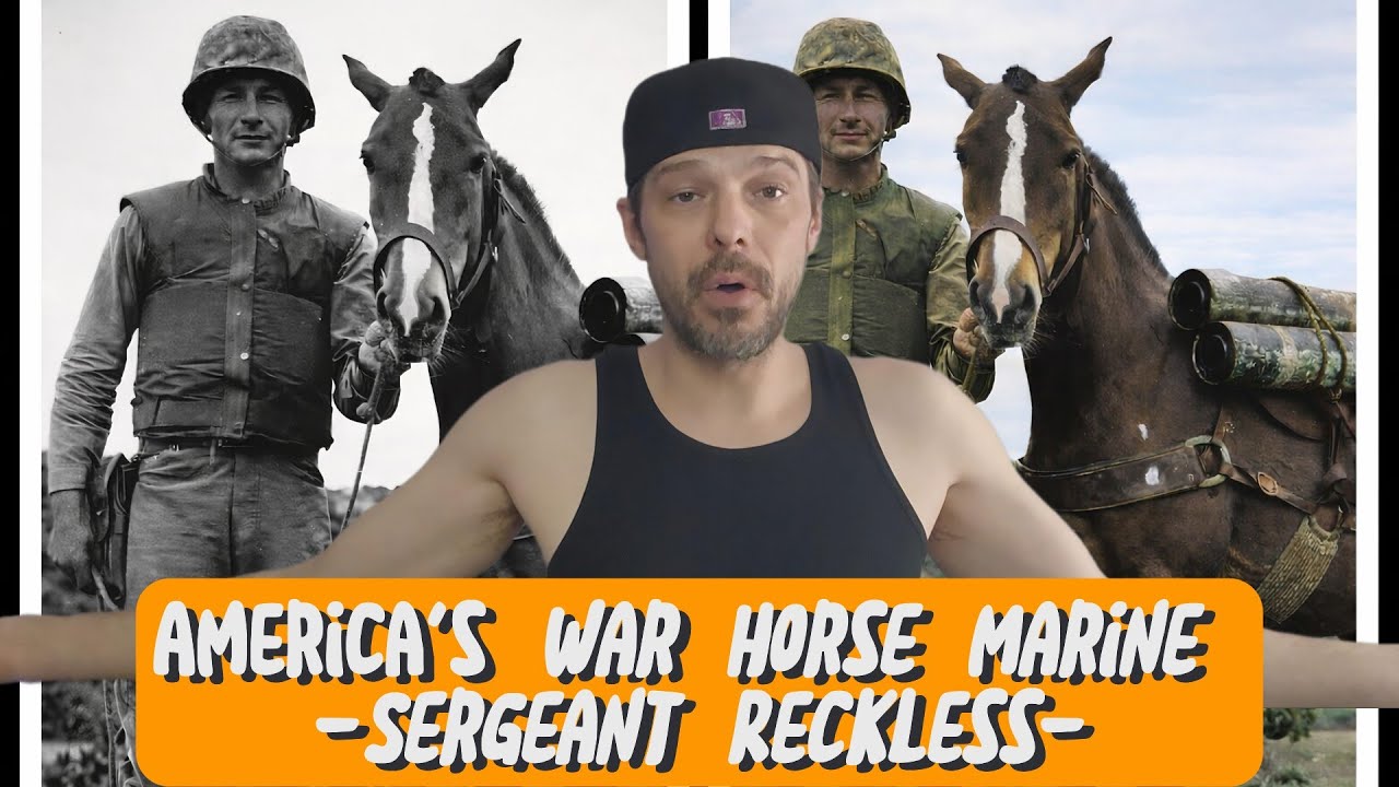 America’s War Horse Marine – Sergeant Reckless’ 🇺🇸🐎 | YMNLIP! Reacts ...