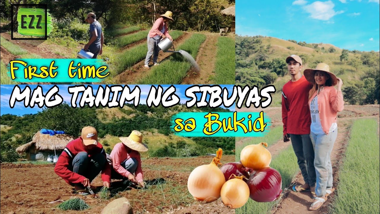 A DAY IN A FARM || SIBUYAS || NUEVA ECIJA - YouTube