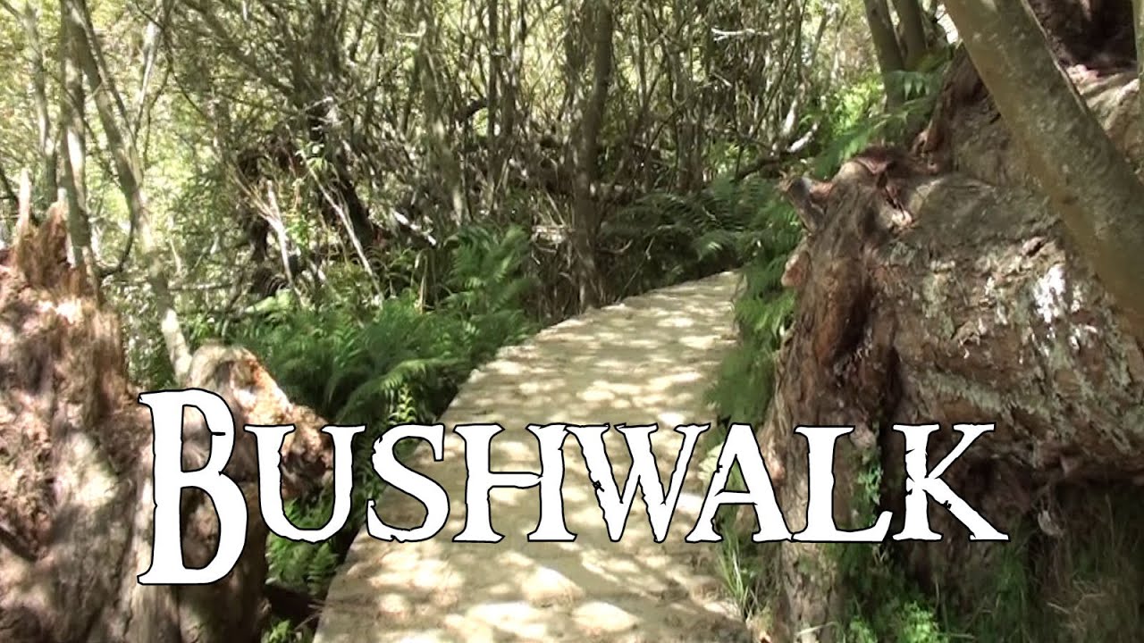 Bushwalk - YouTube