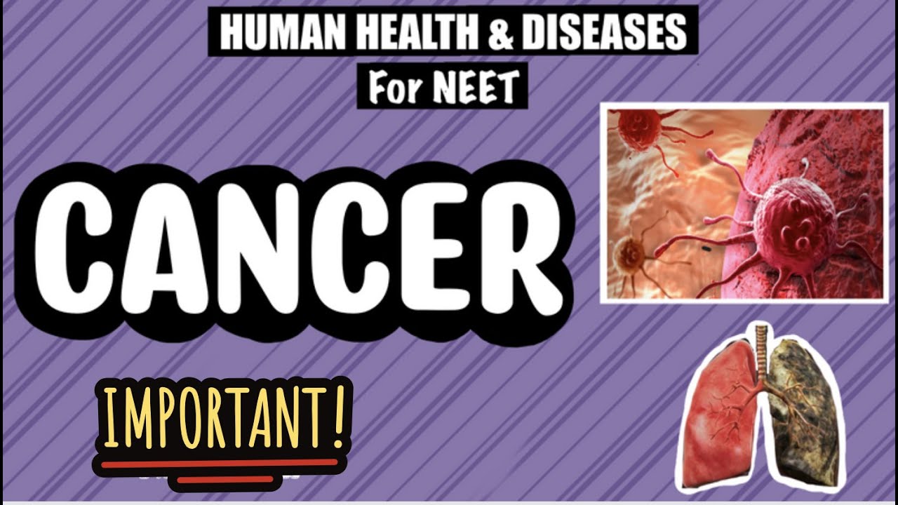 Cancer | Human Health & Disease | NEET Biology Class 12th NCERT @Akshat ...