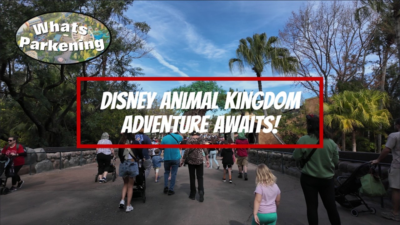 DISNEY Animal Kingdom Adventure Awaits! - YouTube