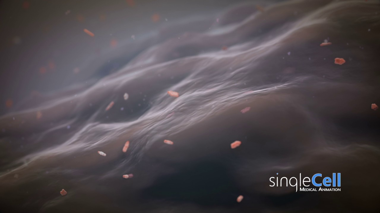 Cell Surface Animation | Single Cell Animation - YouTube