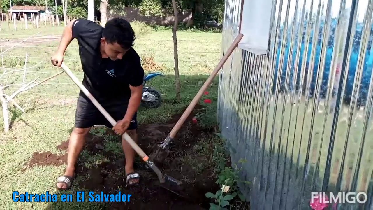 Cómo sembrar flores 🥰🥰 - YouTube