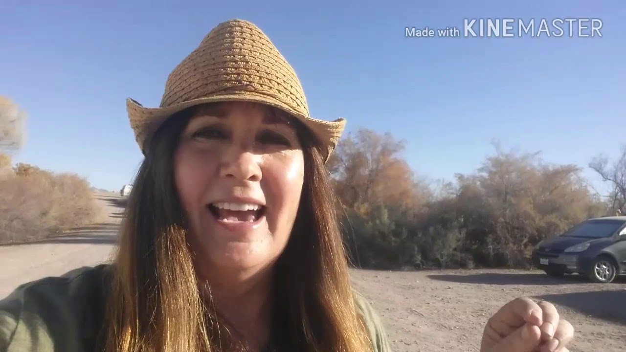 Season 2 begins now! Caravan Carolyn and PandaMonium part 1 - YouTube