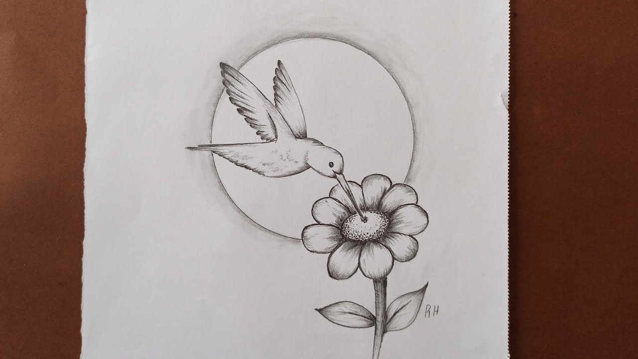 How to draw a bird scene on flowers / pencil drawing of a bird - YouTube