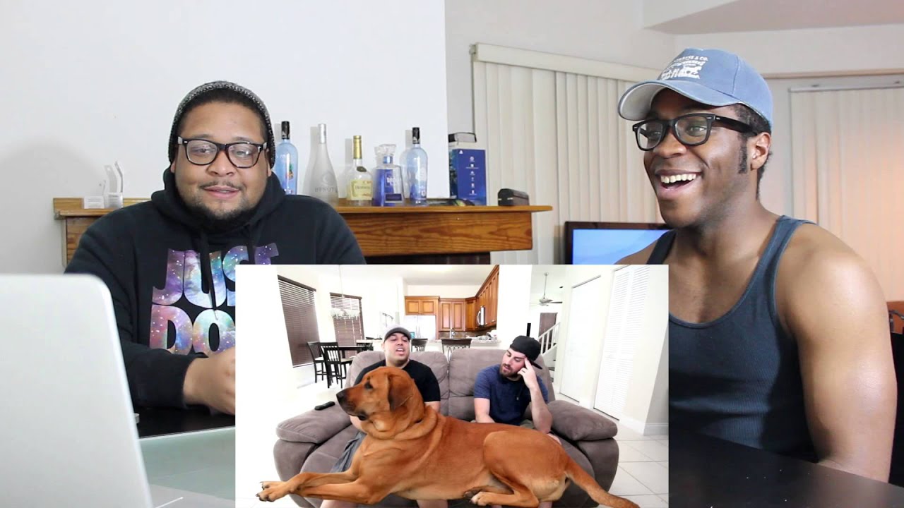 "I KEEP IT REAL!" REACTION!!!! - YouTube