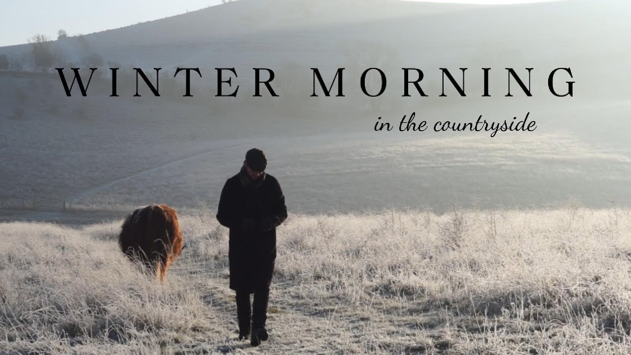 Wake Up to a Magical Winter Morning in the English Countryside - YouTube