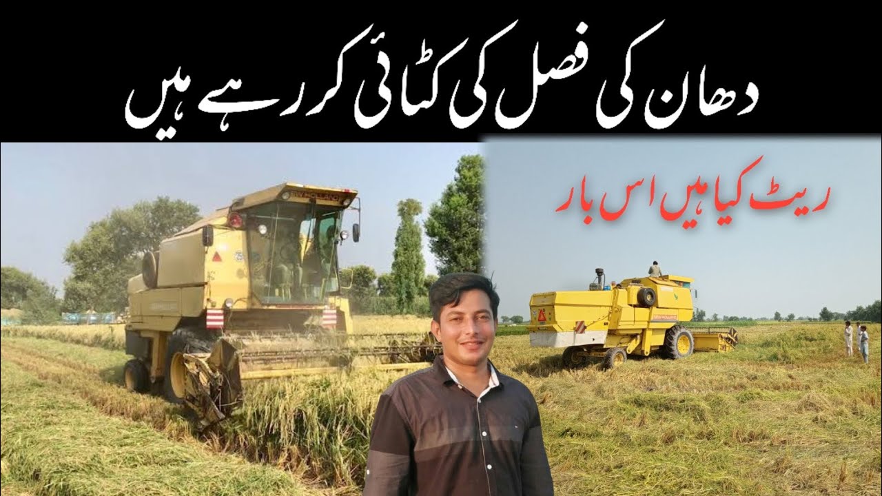 dhan ki katai || dhan ki katai machine se - YouTube