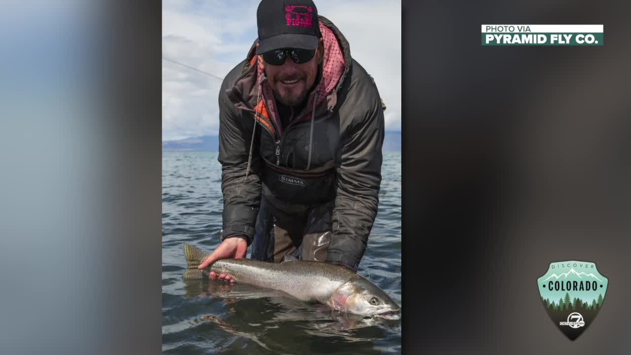 Discover Colorado: The best fishing spots in the state, according to an ...