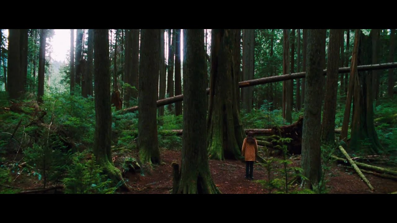 The Twilight Saga: New Moon (2009) trailer - YouTube