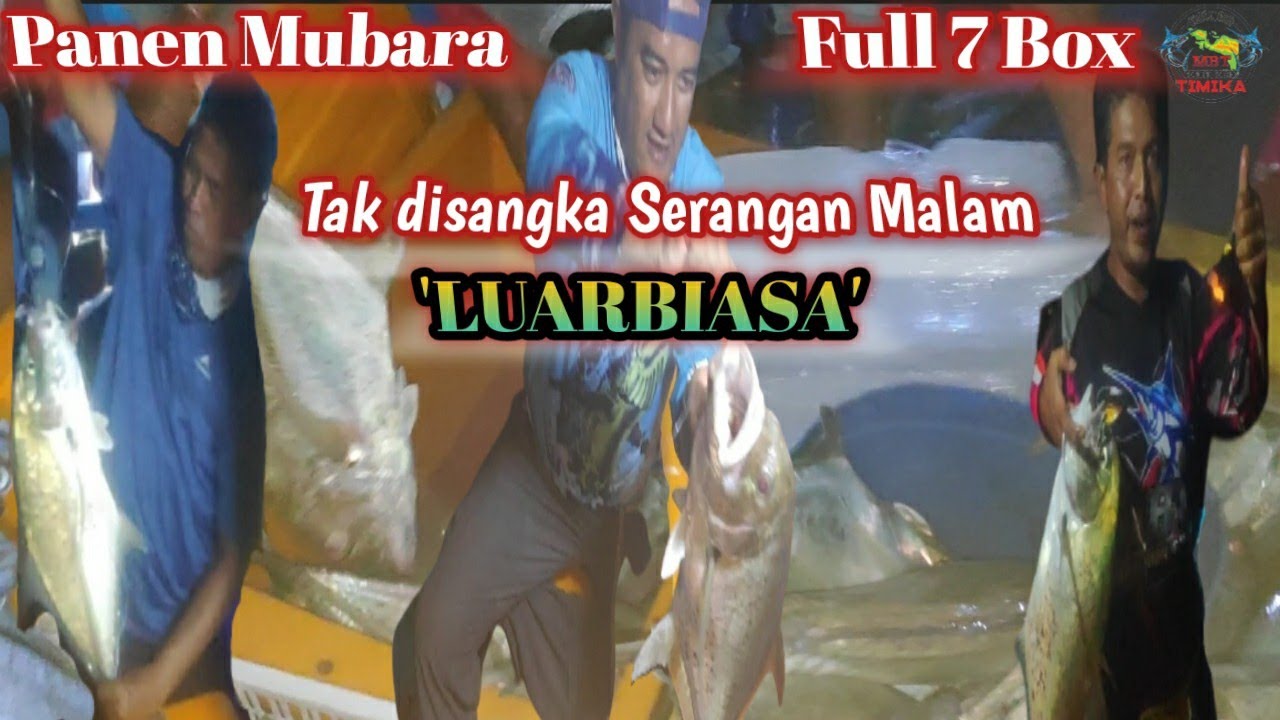 Hari Pertama Menjelang #Malam | MANCING MALAM, diserang Ikan MUBARA ...