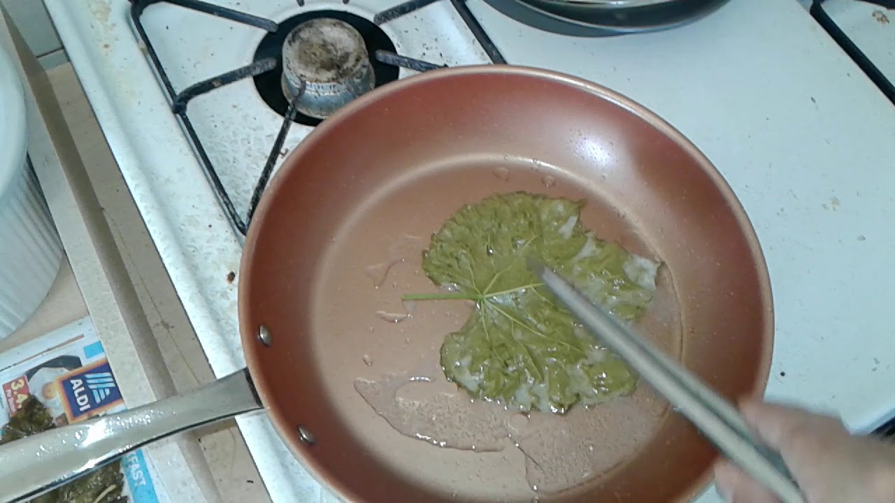 Making grape leaf chips - YouTube