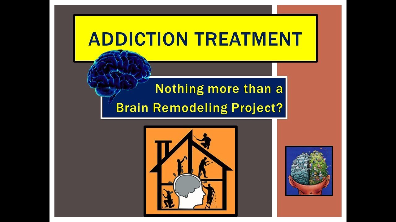 Brain Remodeling Project - YouTube