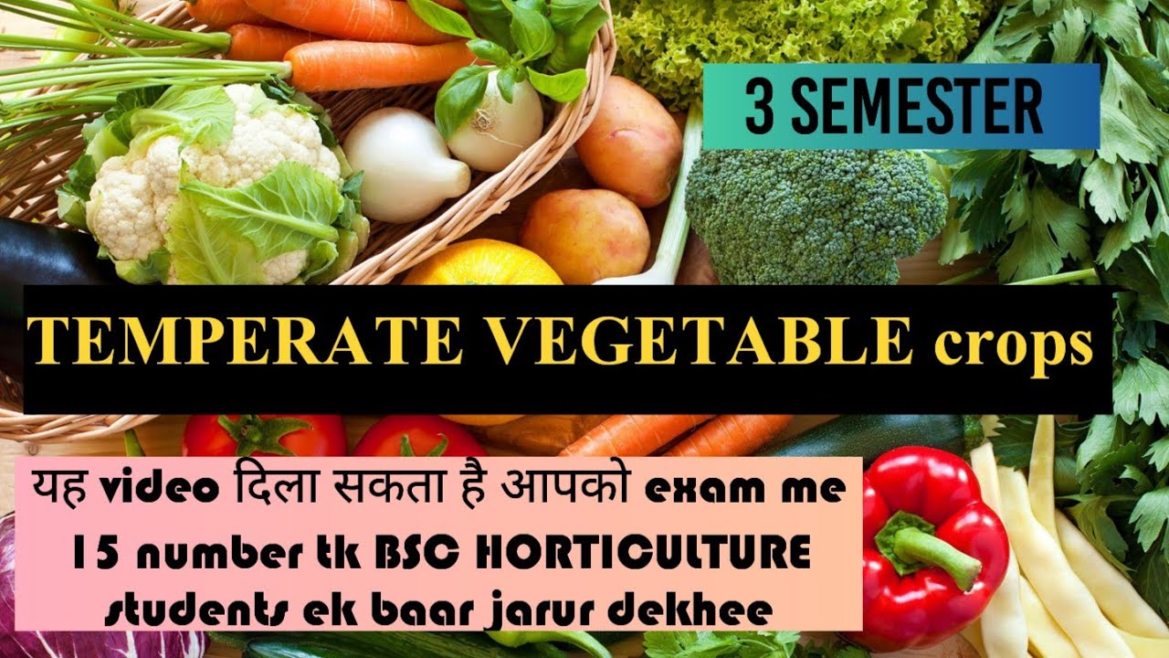 Temperate vegetable crops 👉 3 semester BSC HORTICULTURE #agriculture # ...
