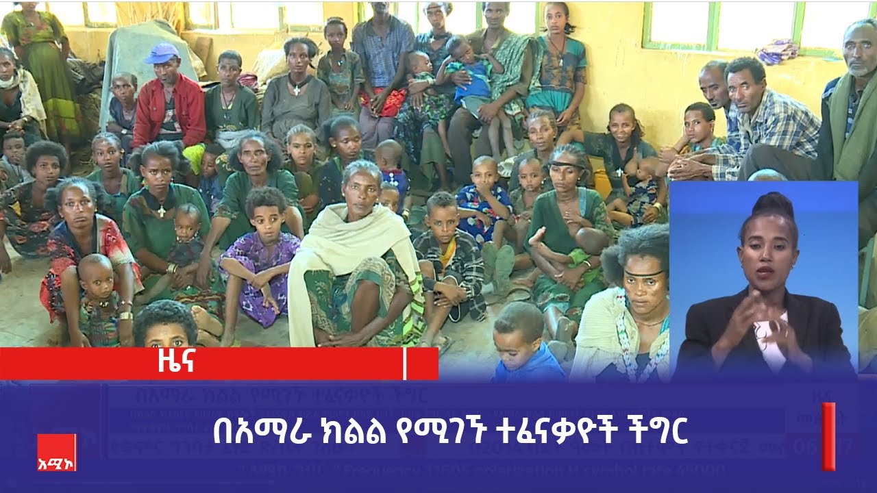 በአማራ ክልል የሚገኙ ተፈናቃዮች ችግር Youtube