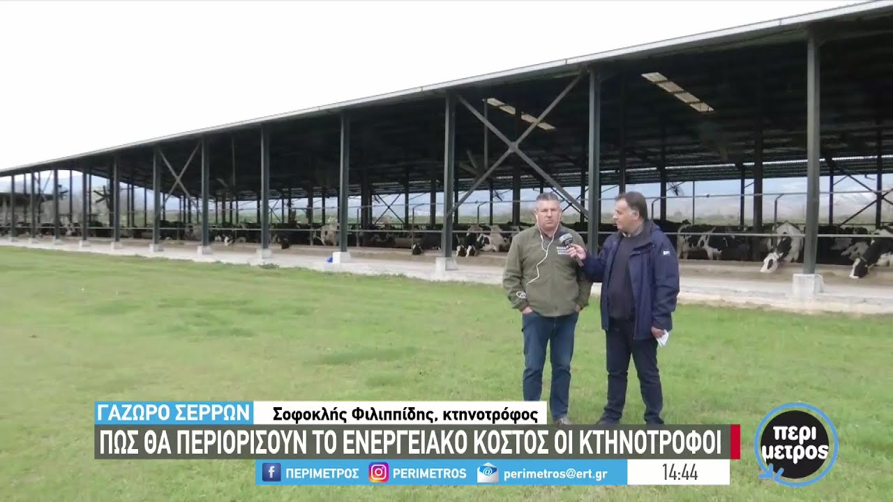 Πως θα περιορίσουν το ενεργειακό κόστος οι κτηνοτρόφοι | 16/03/2023 ...