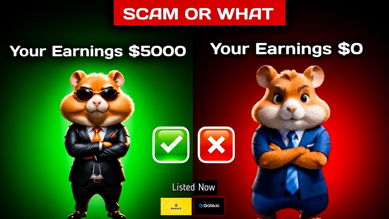 Hamster Kombat is A Scam ? | Everything About Hamster Kombat - YouTube