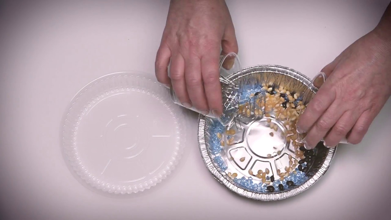 How to Make Purim Groggers (Noisemakers) with Objects You Have at Home ...