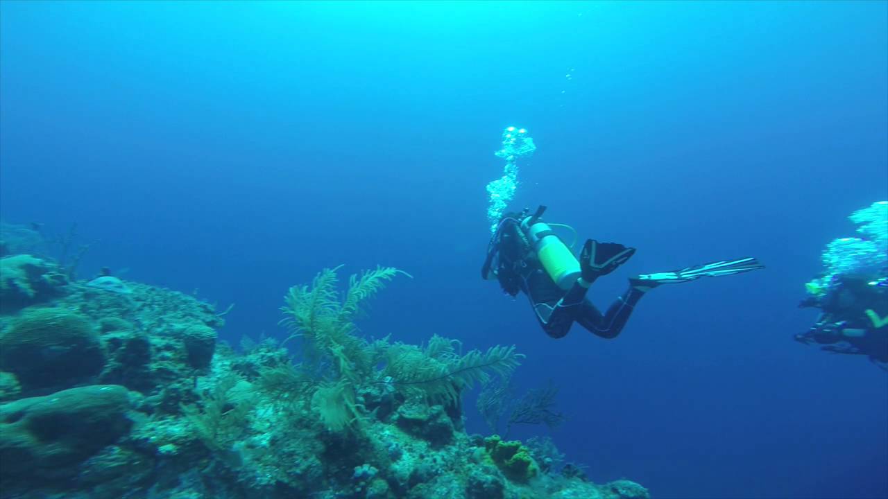 Scuba Diving HD - Turks & Caicos, Providenciales, French Cay - Dive ...
