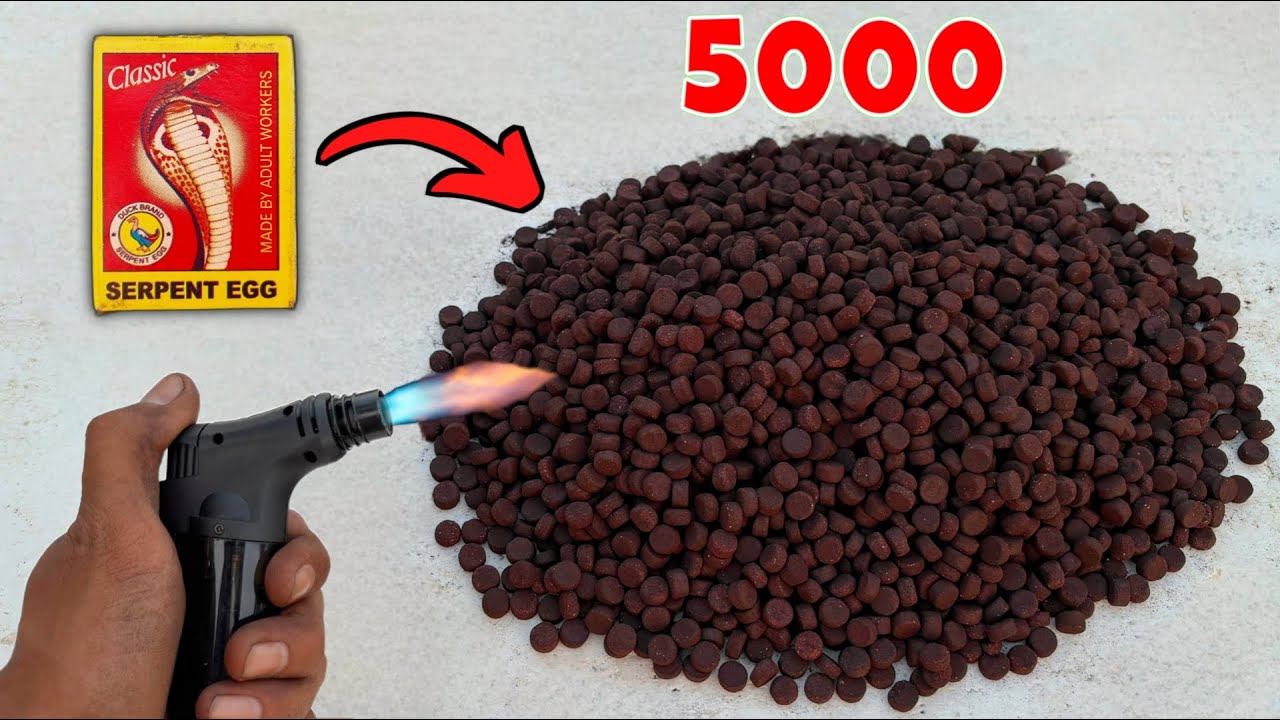 5000 Diwali Snake Bombs 🐍 At Once! Worth ₹1000😱 - YouTube