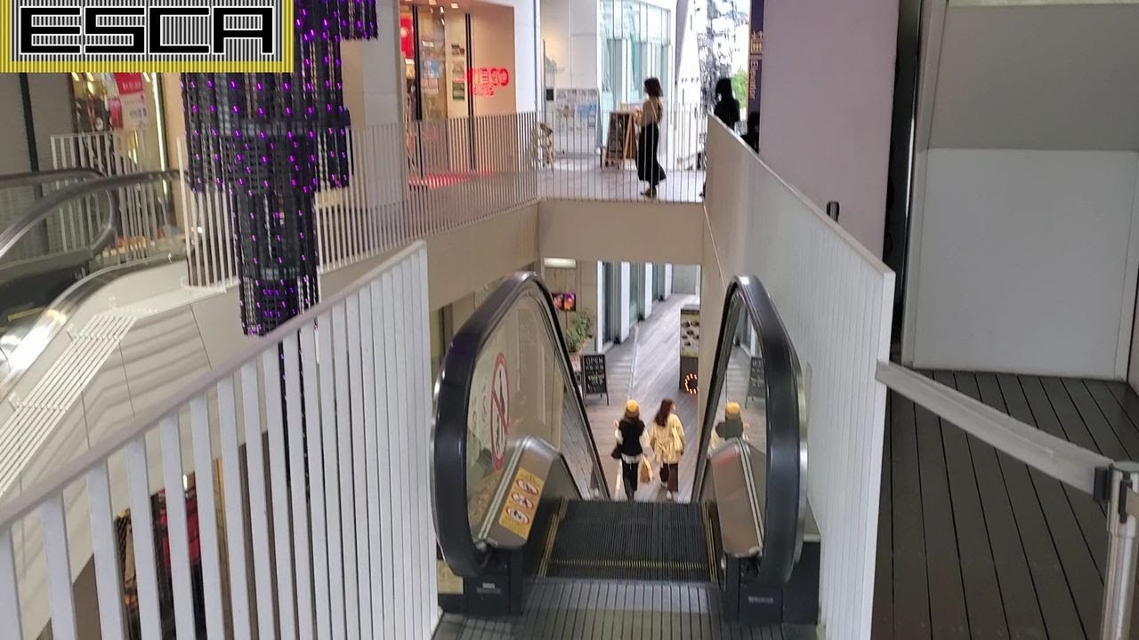 YMスクエア原宿 エスカレーター 2F-1F オーチス YM SQUARE HARAJUKU Escalator OTIS - YouTube