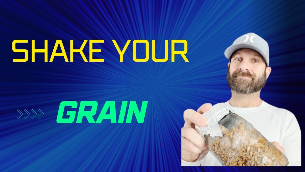 How and When to Shake Mycelium Grain Jar - YouTube