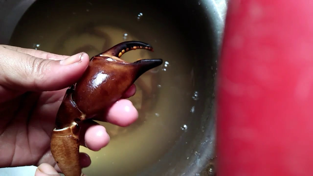 How to cook crab gudok - YouTube