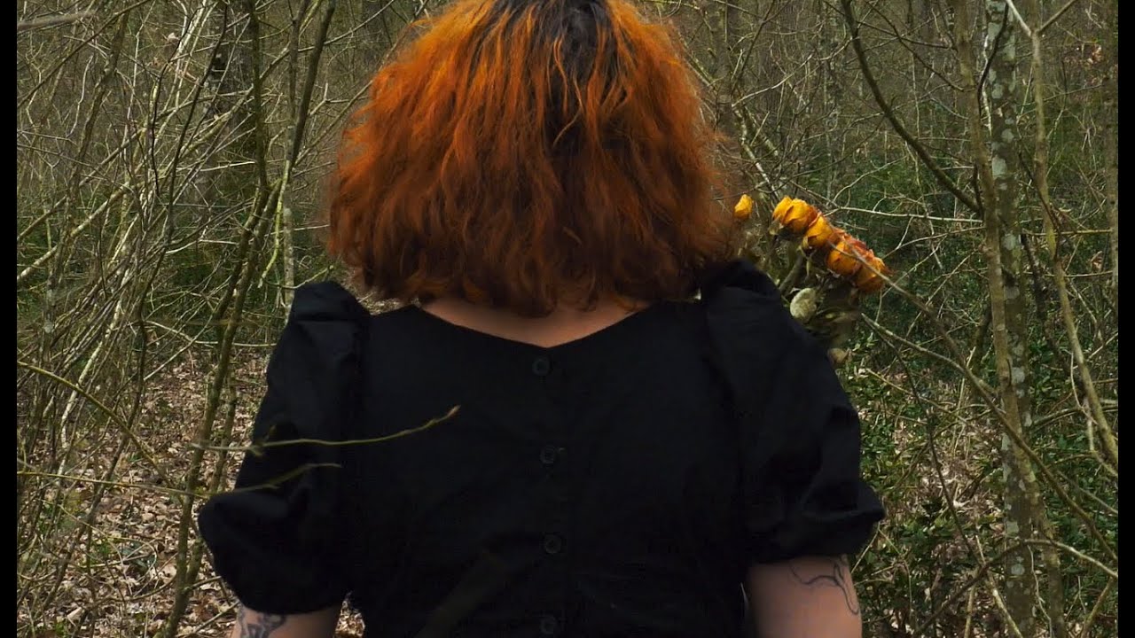 Wingy Tree - YouTube