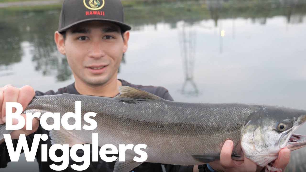 Chinook & Coho Casting Brads Wigglers - YouTube