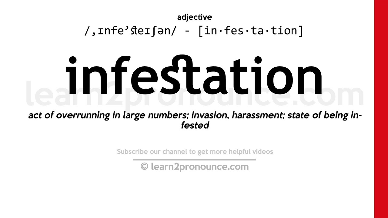 Pronunciation Of Infestation Definition Of Infestation YouTube pronunciation-of-infestation-definition-of-infestation-youtube