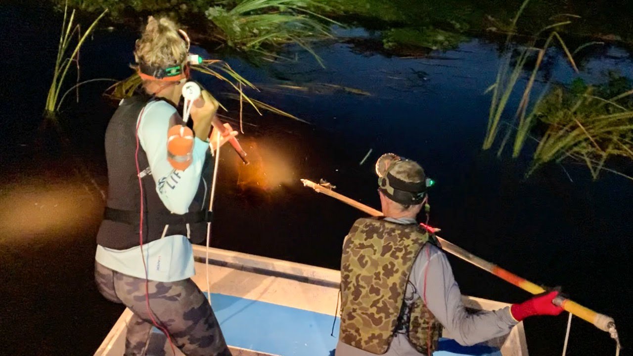 Thrown off boat by GATOR | Harpooning gator from airboat in Florida ...
