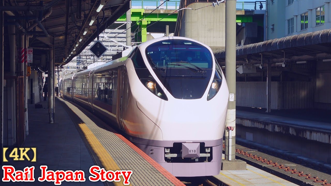 E657 series at Ueno Station, Tokyo, Japan, December 31, 2024 - YouTube