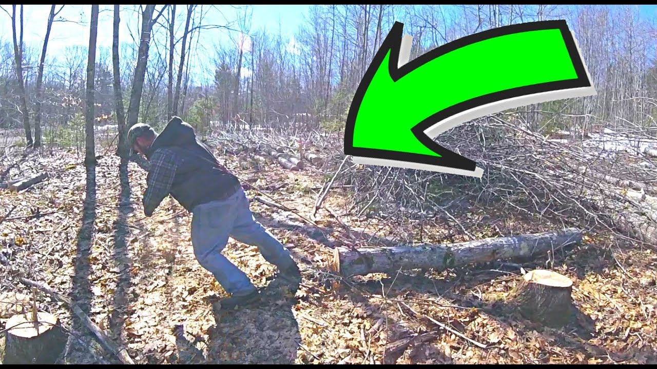 Hauling Heavy Oak Logs with Just A Rope: NO MACHINES - YouTube