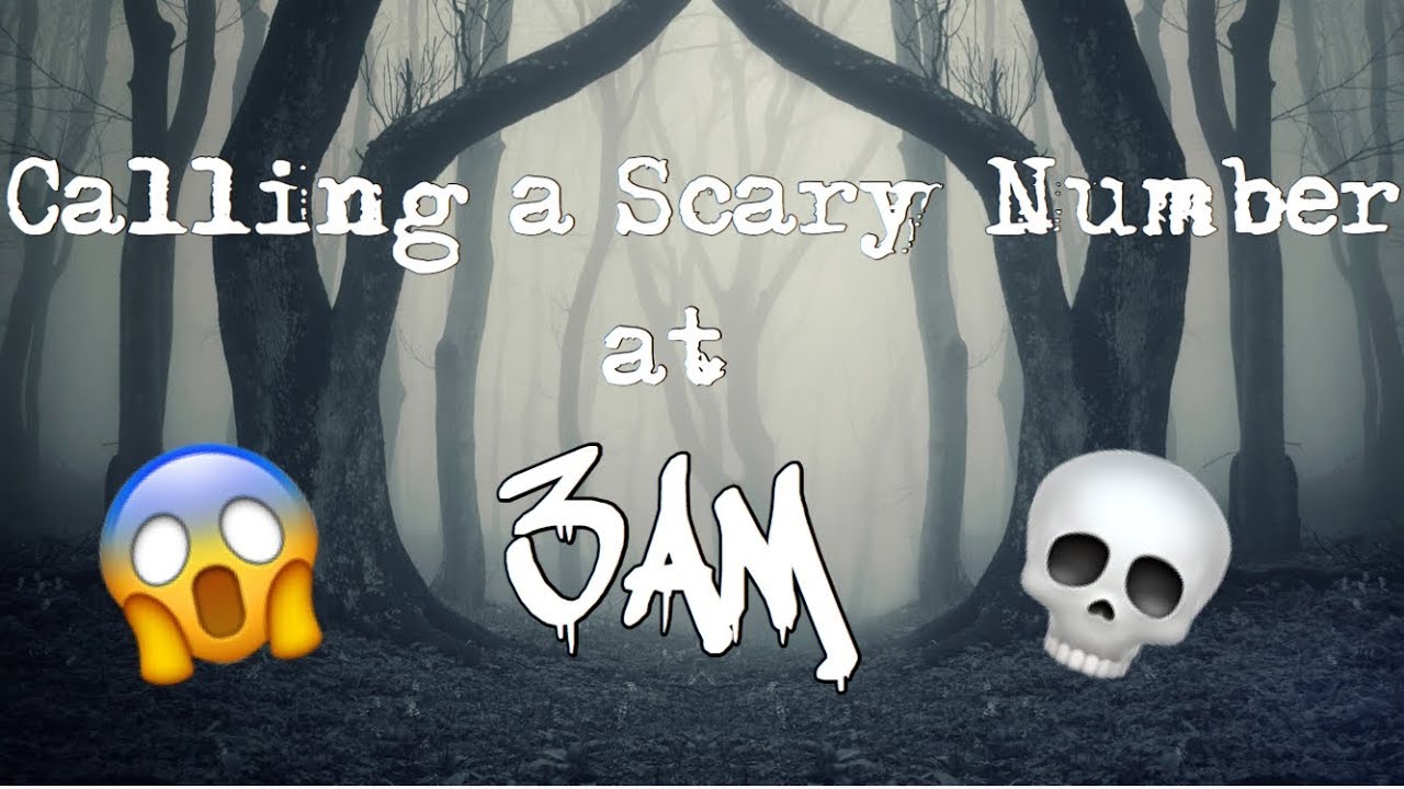 Calling A Scary Number at 3 AM// VLA Vlogs - YouTube