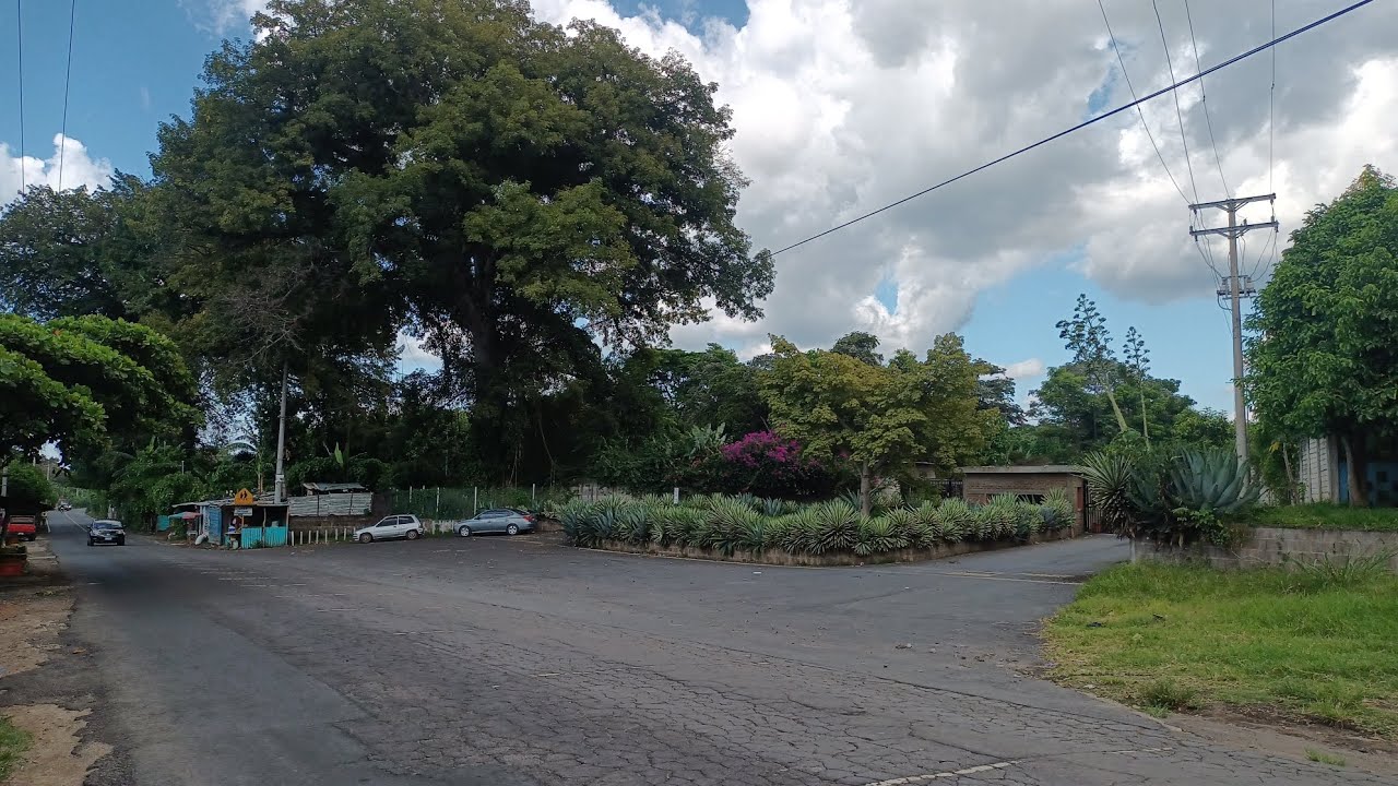 Caminando por El Cantón Matazano Vía Los Naranjos Santa Ana, Red Fox ...