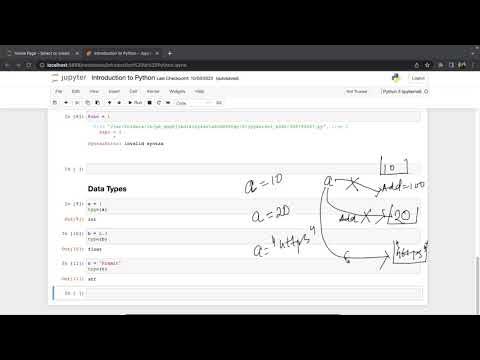 Python Variables and Data Types Explained: Learn the Basics with Examples - YouTube