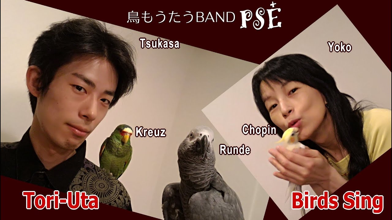 PSE, a New Style of Music. "Tori(Bird)-Tone" by Runde's melody. Runde's 2nd birthday short music ...