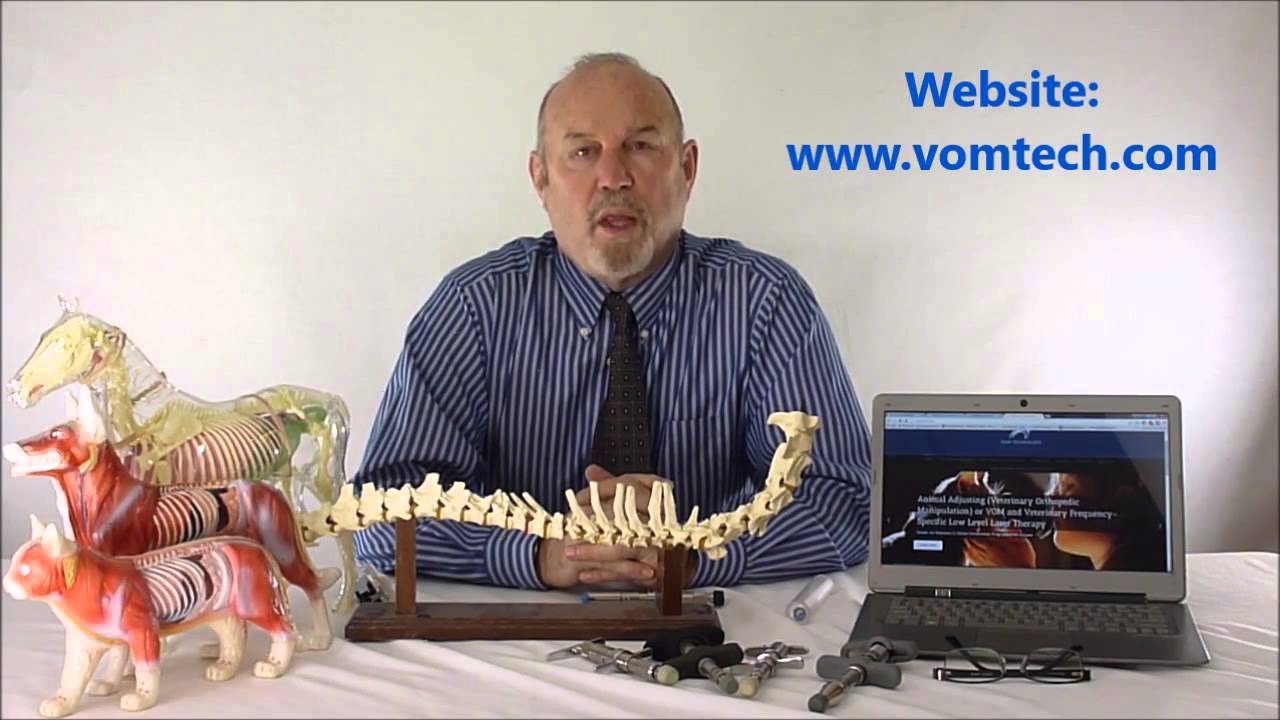 VOM Intro Video 3 How to Apply it in Your Practice - YouTube