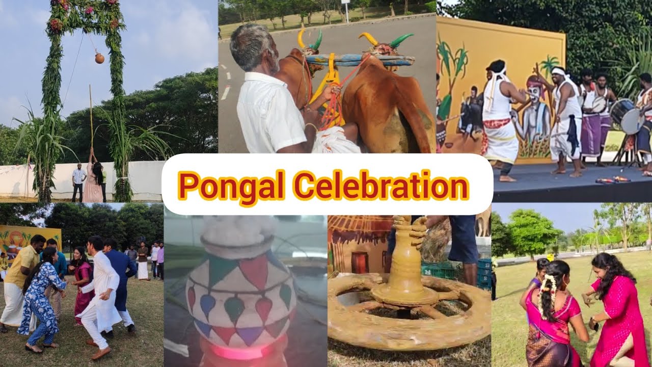 Pongal Celebration at Office 🥳 Don't Miss it | Uriyadi | Village Dance ...