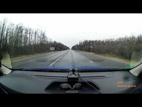 Гомель - Новая Гута. Косули на дороге