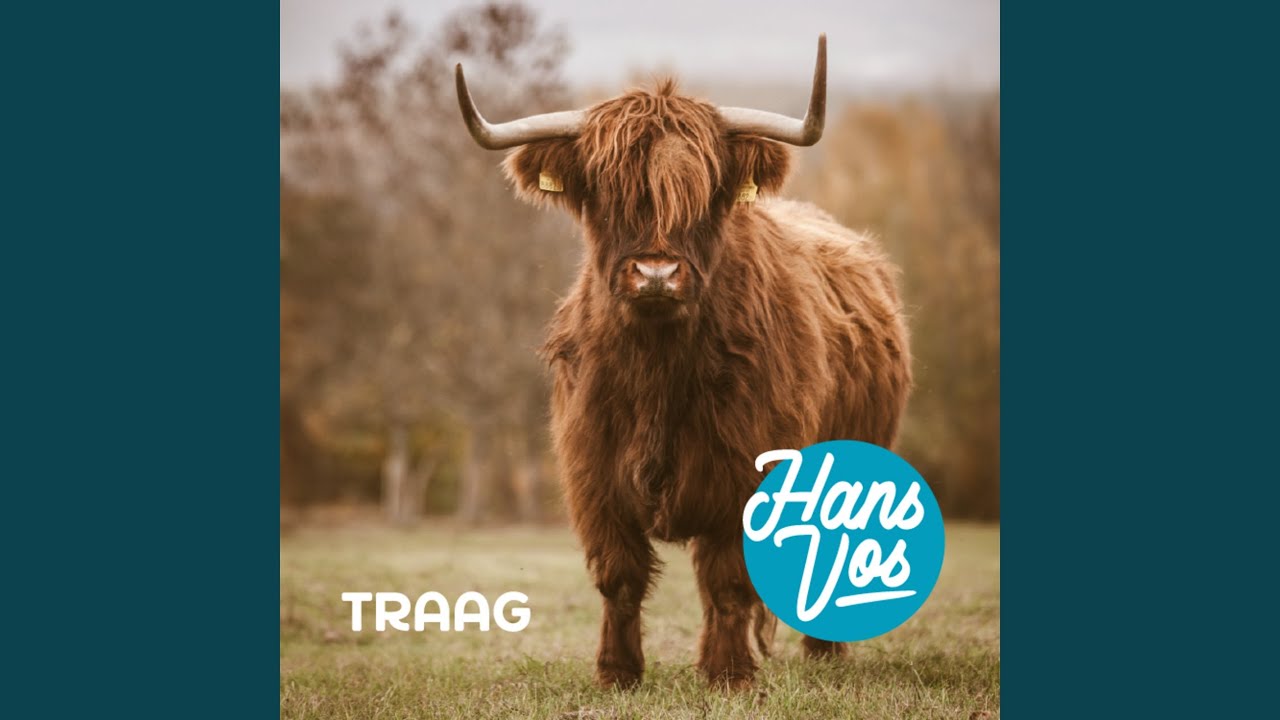 Traag - YouTube