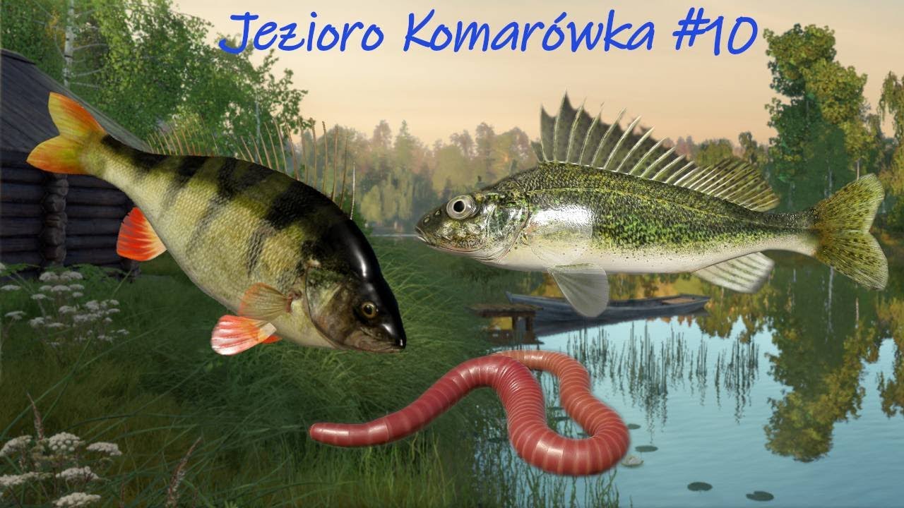 Russian Fishing 4 - #10 Okoń Jazgarz Czerwony robak Feeder spot Perch ...